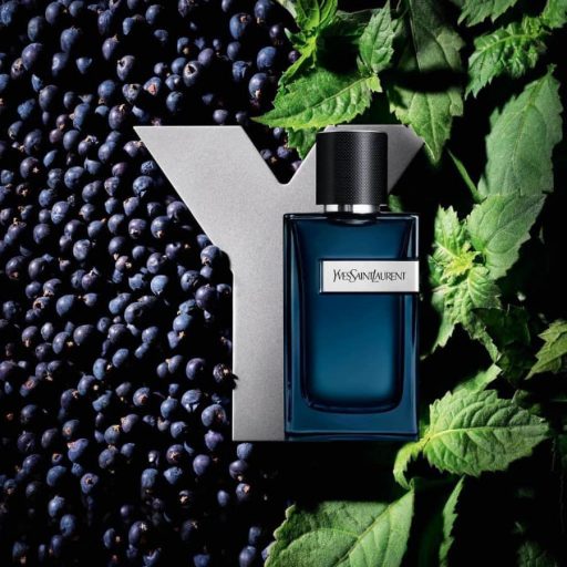 Yves Saint Laurent Y Men EDP Intense – Kinperfume